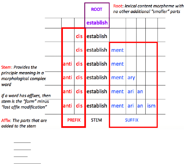Morphology Continued