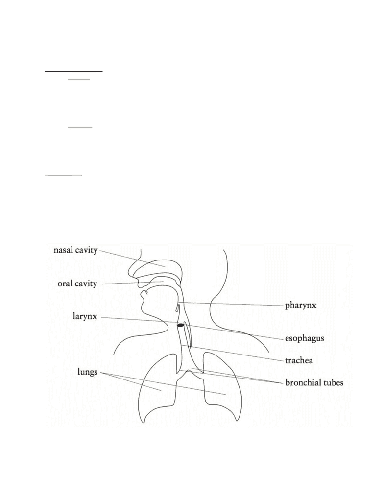 Linguistics 2248A/B Textbook Notes - Spring 2018, Chapter 1 - Vocal ...