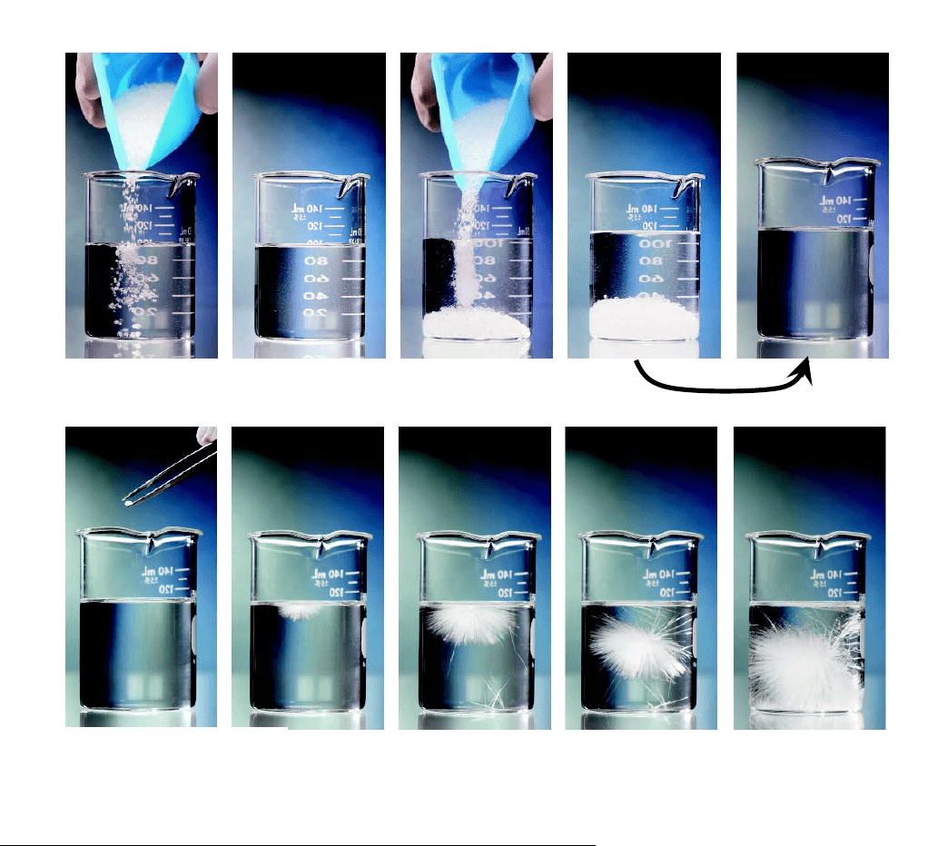 CHEM 1311 Lecture Notes - Spring 2018, Lecture 12 - Supersaturation ...