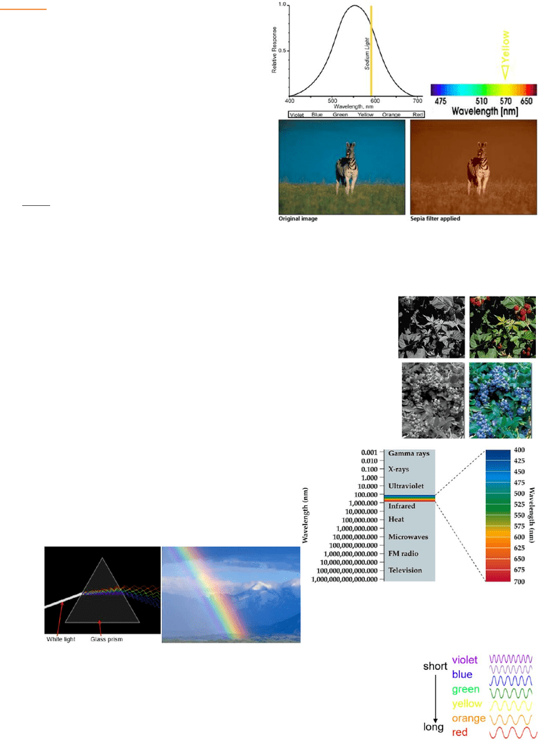 PSC 131 Lecture Notes - Spring 2017, Lecture 9 - Sodium-Vapor Lamp ...