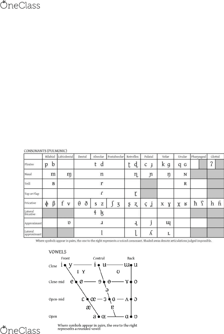 LING 2800 Lecture Notes - Fall 2016, Lecture 2 - English Orthography ...