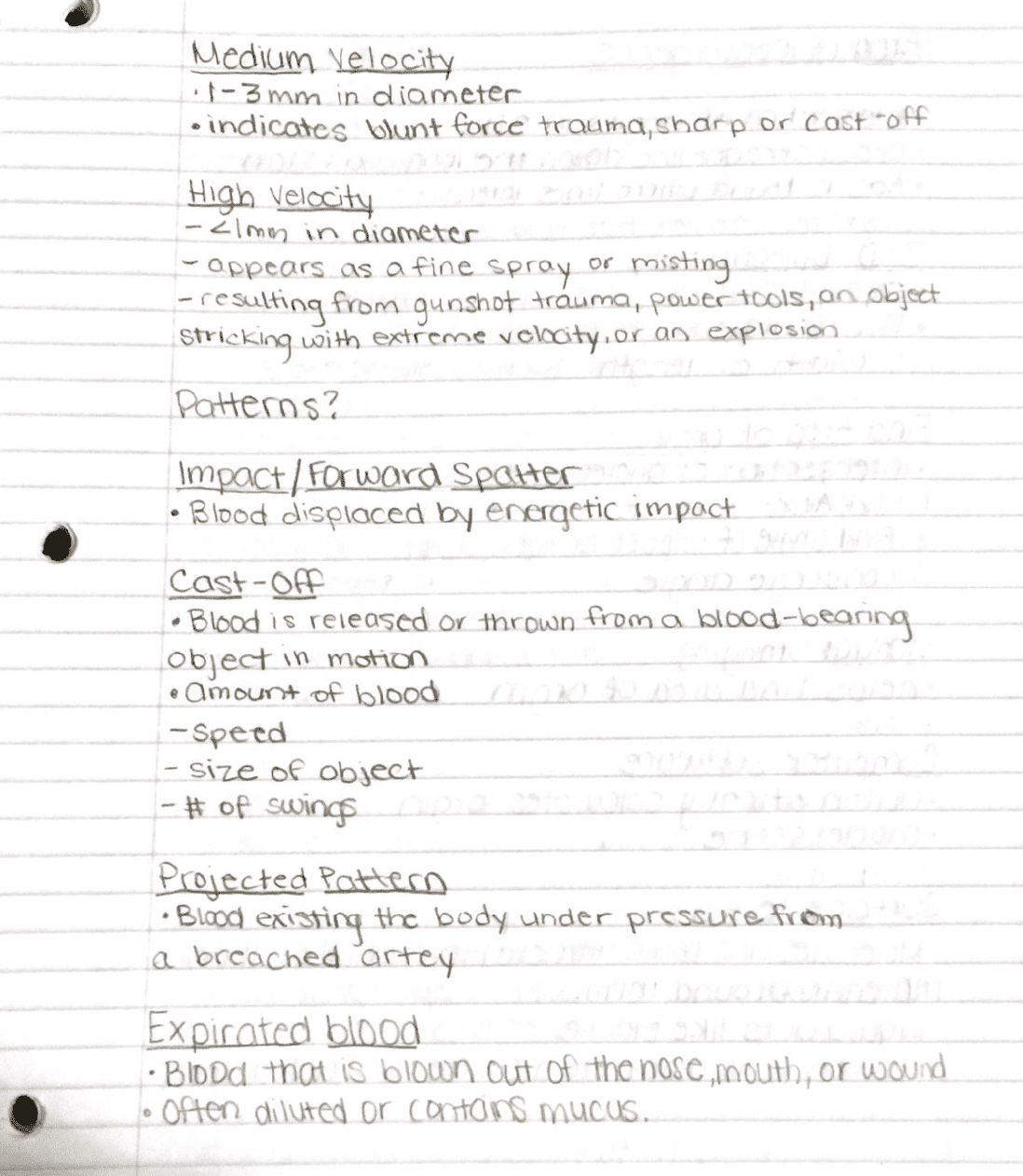 FIS 201 Lecture Notes - Spring 2018, Lecture 2 - Lection, Buda, Llama