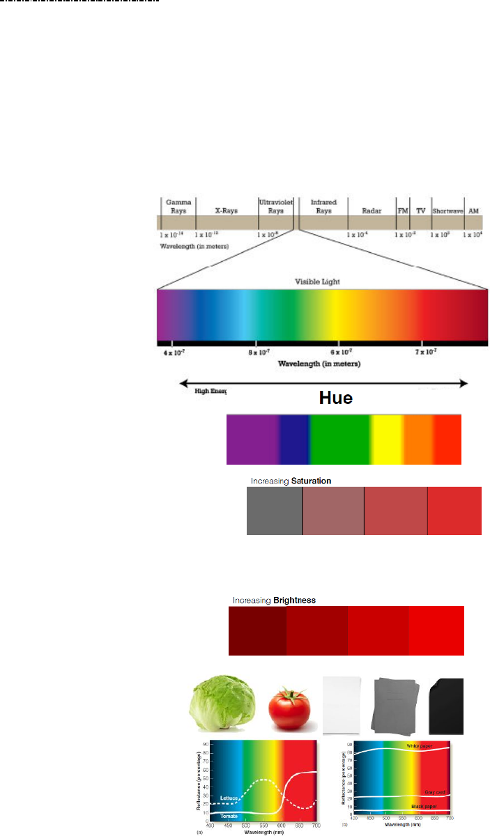PSY280H5 Lecture Notes - Winter 2019, Lecture 7 - Electromagnetic ...