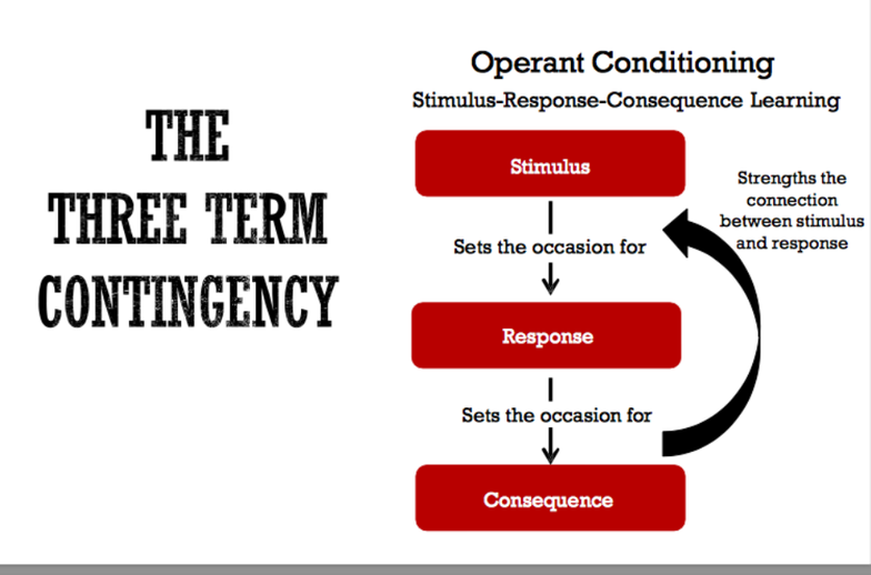 PY1102 Lecture Notes - Summer 2018, Lecture 8 - Operant Conditioning ...