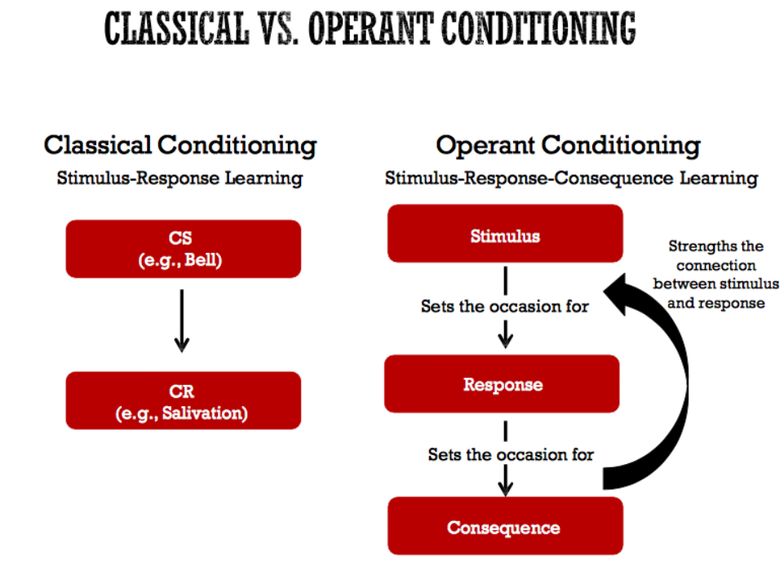 PY1102 Lecture Notes - Summer 2018, Lecture 8 - Operant Conditioning ...