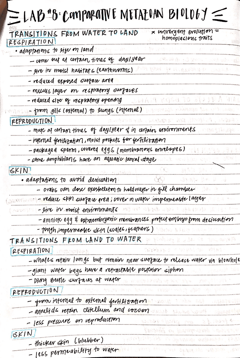 BIS 2C Final: Lab Practical: Lab 8 - OneClass