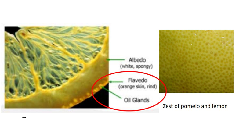 NATS 1565 Study Guide - Fall 2018, Final - Volatile Organic Compound ...
