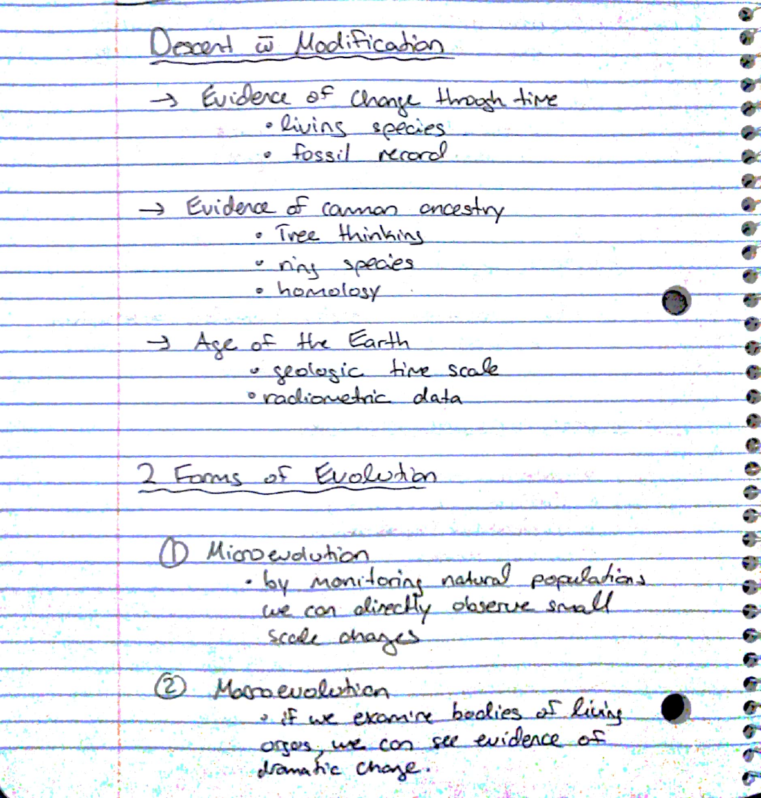 Biol 3142 Lecture 2 Descent With Modification Micro Vs Macro Evolution Oneclass