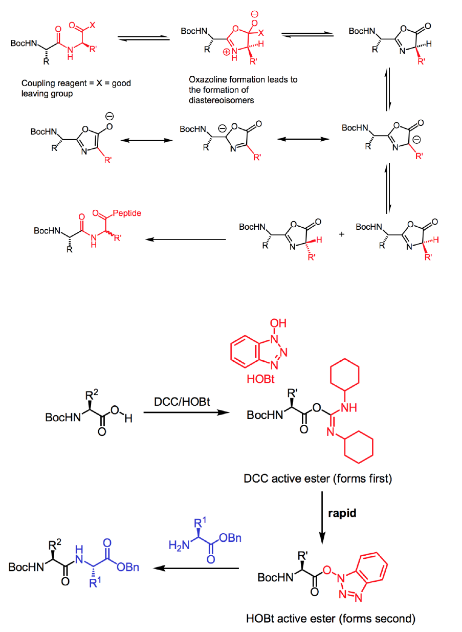 CHEM3910 Lecture Notes - Fall 2018, Lecture 8 - Solid-Phase Synthesis ...