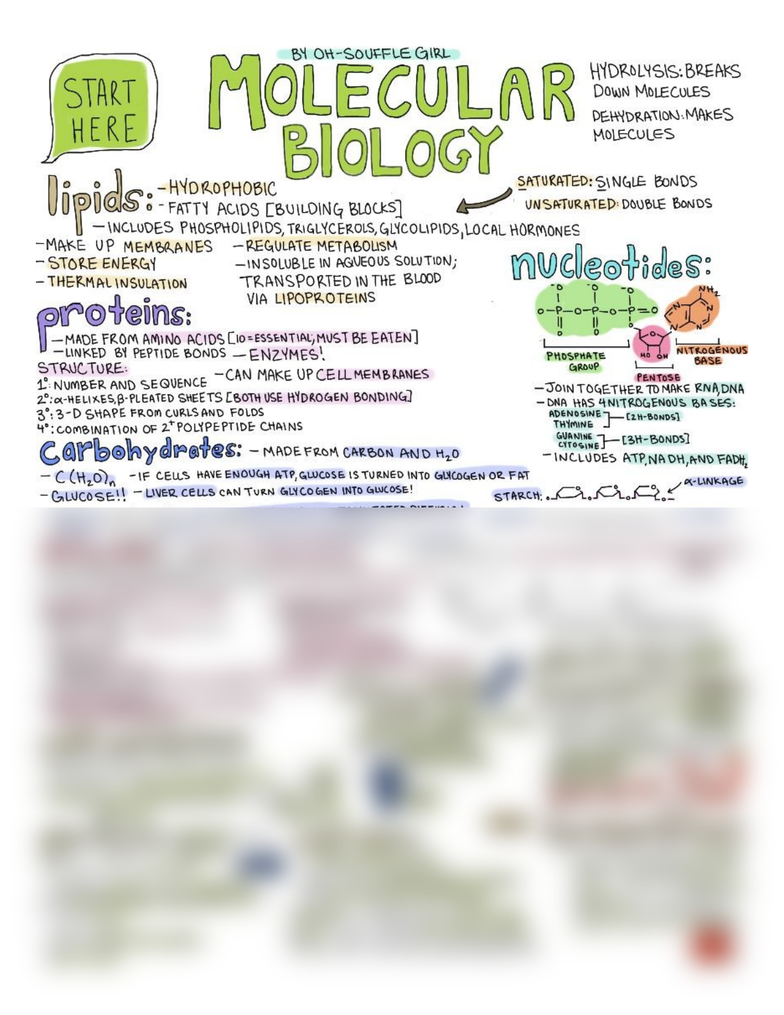 BIOL 204 Final: Biology Notes.pdf - OneClass BIOL 204 Final: Biology Notes.pdf - OneClass